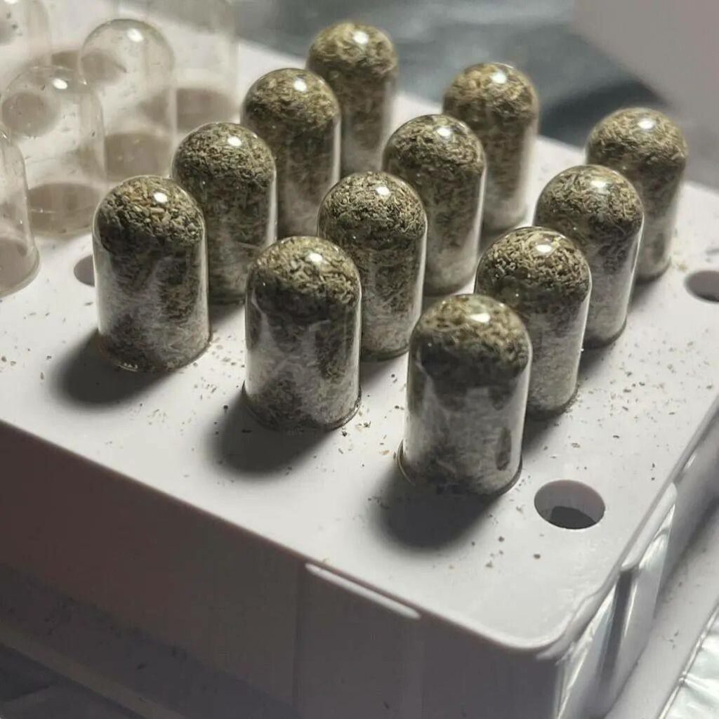 Guide to Microdosing Magic Mushrooms for Beginners - imafungi.org