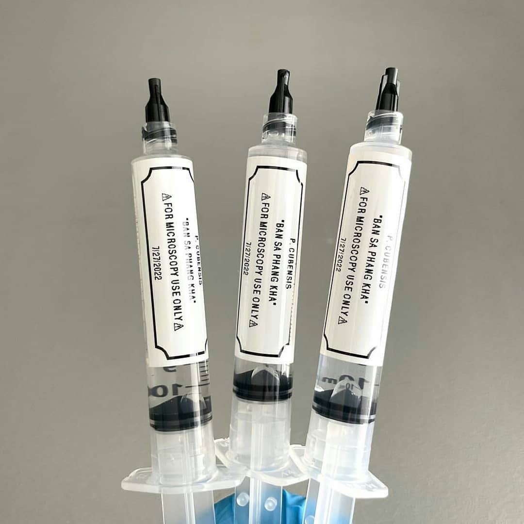 MUSHROOM SPORES LIQUID CULTURE SYRINGES